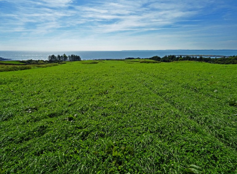 For Sale: LAND AT ROBERTON FARM - Borgue, Kirkcudbright, DG6 4UG