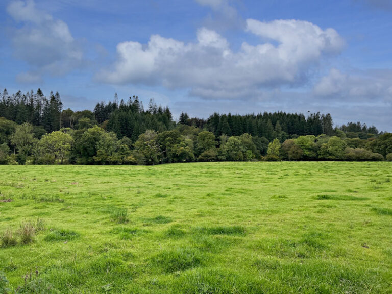 For Sale: LAND & STEADING AT STRONORD - Newton Stewart, DG8 7BH