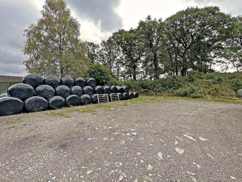 For Sale: LAND & STEADING AT STRONORD - Newton Stewart, DG8 7BH