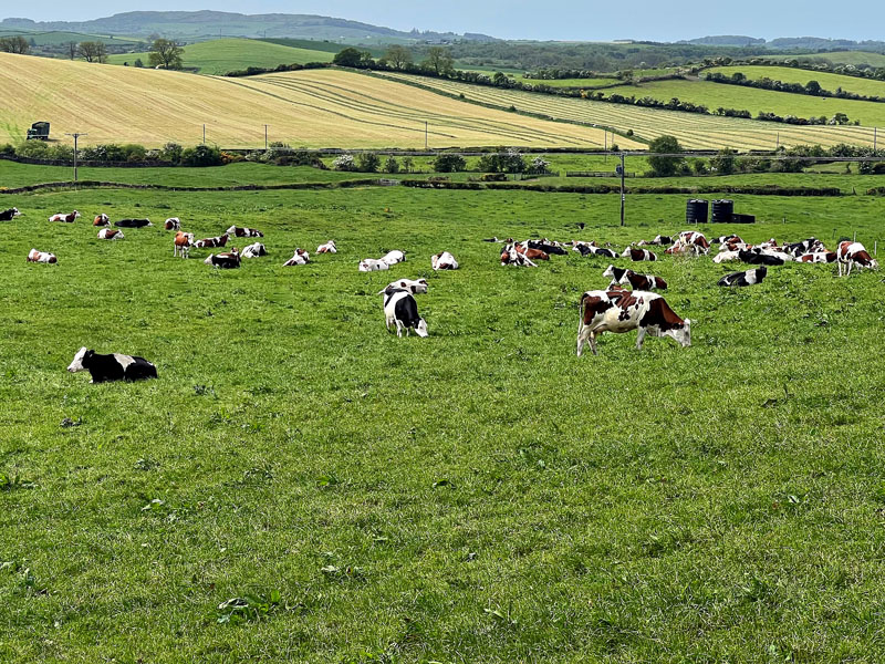 For Sale: KNOCKEFFRICK FARM - Sorbie, Newton Stewart, DG8 8AL