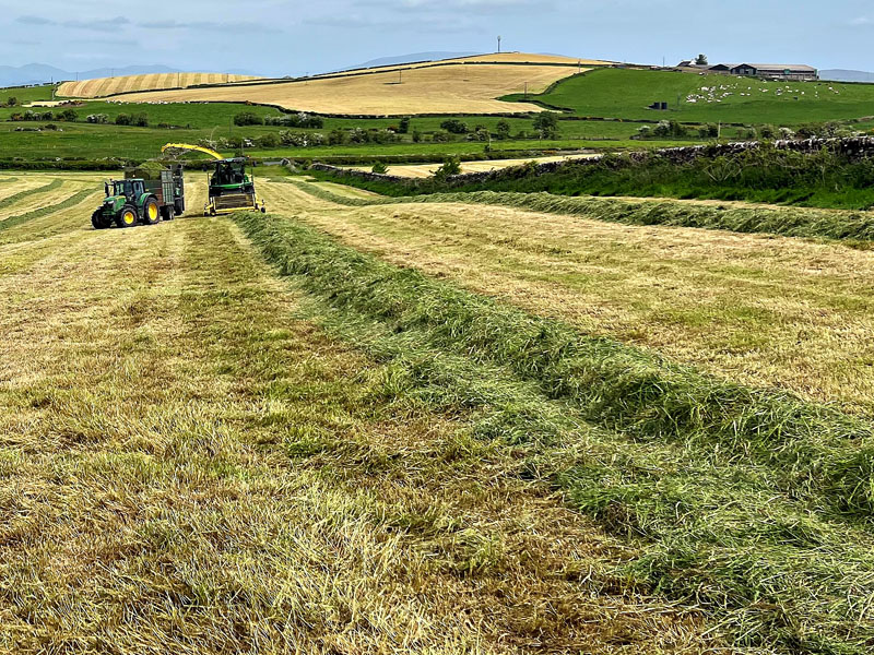 For Sale: KNOCKEFFRICK FARM - Sorbie, Newton Stewart, DG8 8AL