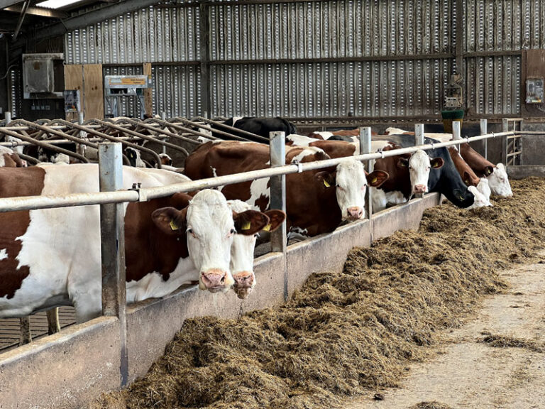 For Sale: KNOCKEFFRICK FARM - Sorbie, Newton Stewart, DG8 8AL