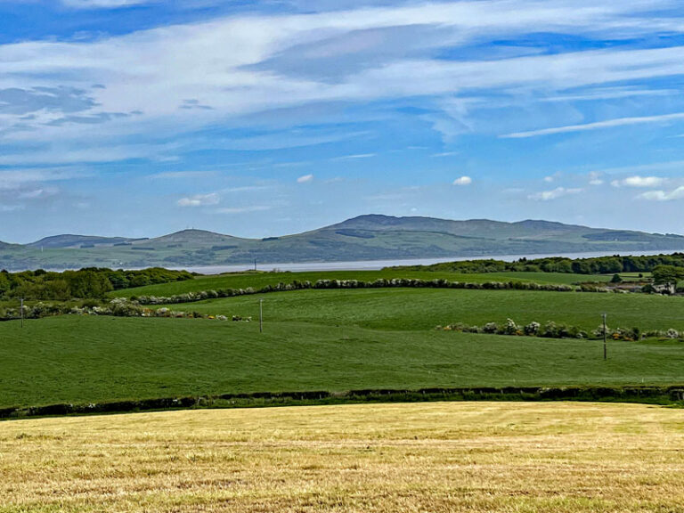 For Sale: KNOCKEFFRICK FARM - Sorbie, Newton Stewart, DG8 8AL