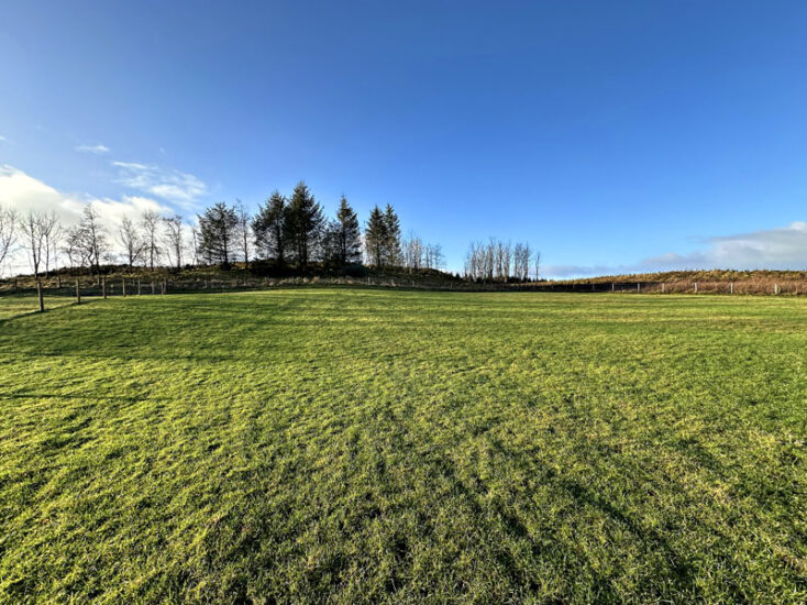 For Sale: CORSEHILL - Boreland, Lockerbie, DG11 2QY