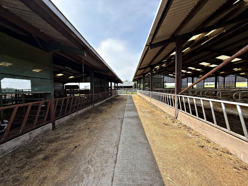 For Sale: MUIRHEAD FARM - Twynholm, Kirkcudbright, DG6 4PP